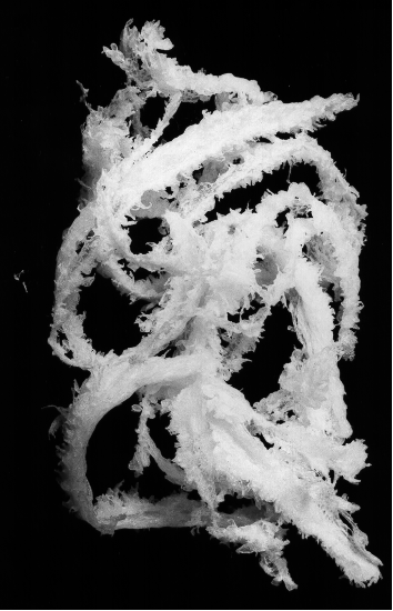 Troubleshooting Common Pellet Quality Issues - Davis-Standard