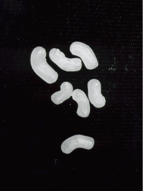 Troubleshooting Common Pellet Quality Issues - Davis-Standard