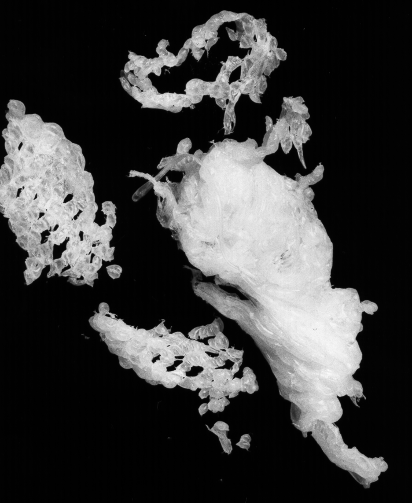 Troubleshooting Common Pellet Quality Issues - Davis-Standard