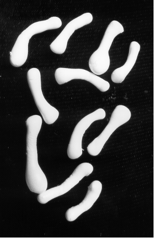 Troubleshooting Common Pellet Quality Issues - Davis-Standard