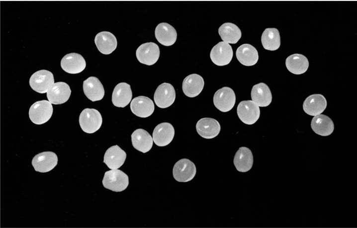 Troubleshooting Common Pellet Quality Issues - Davis-Standard